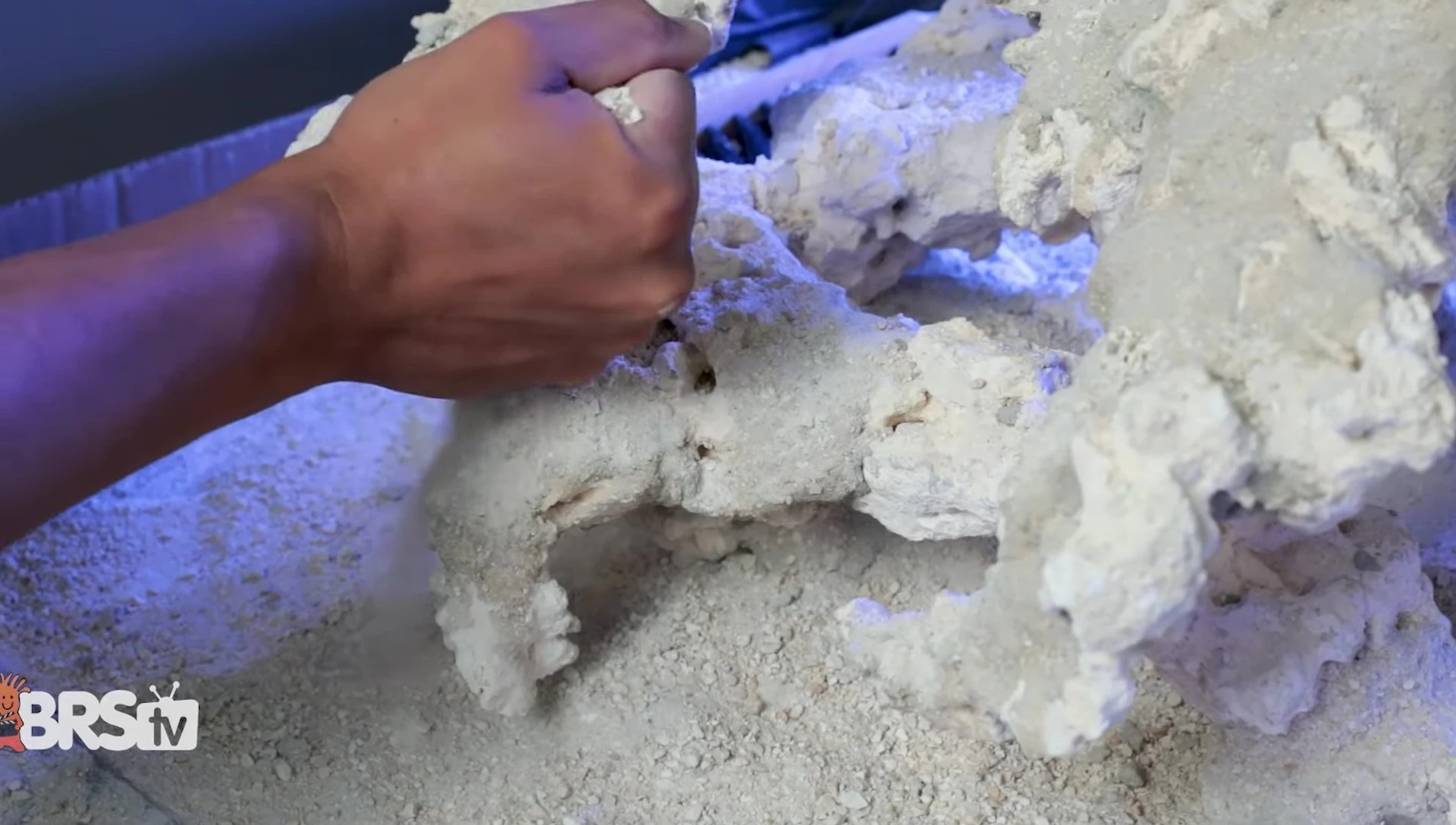 Aquascaping Adhesives Buyer's Guide: The Ultimate Guide to Secure ...