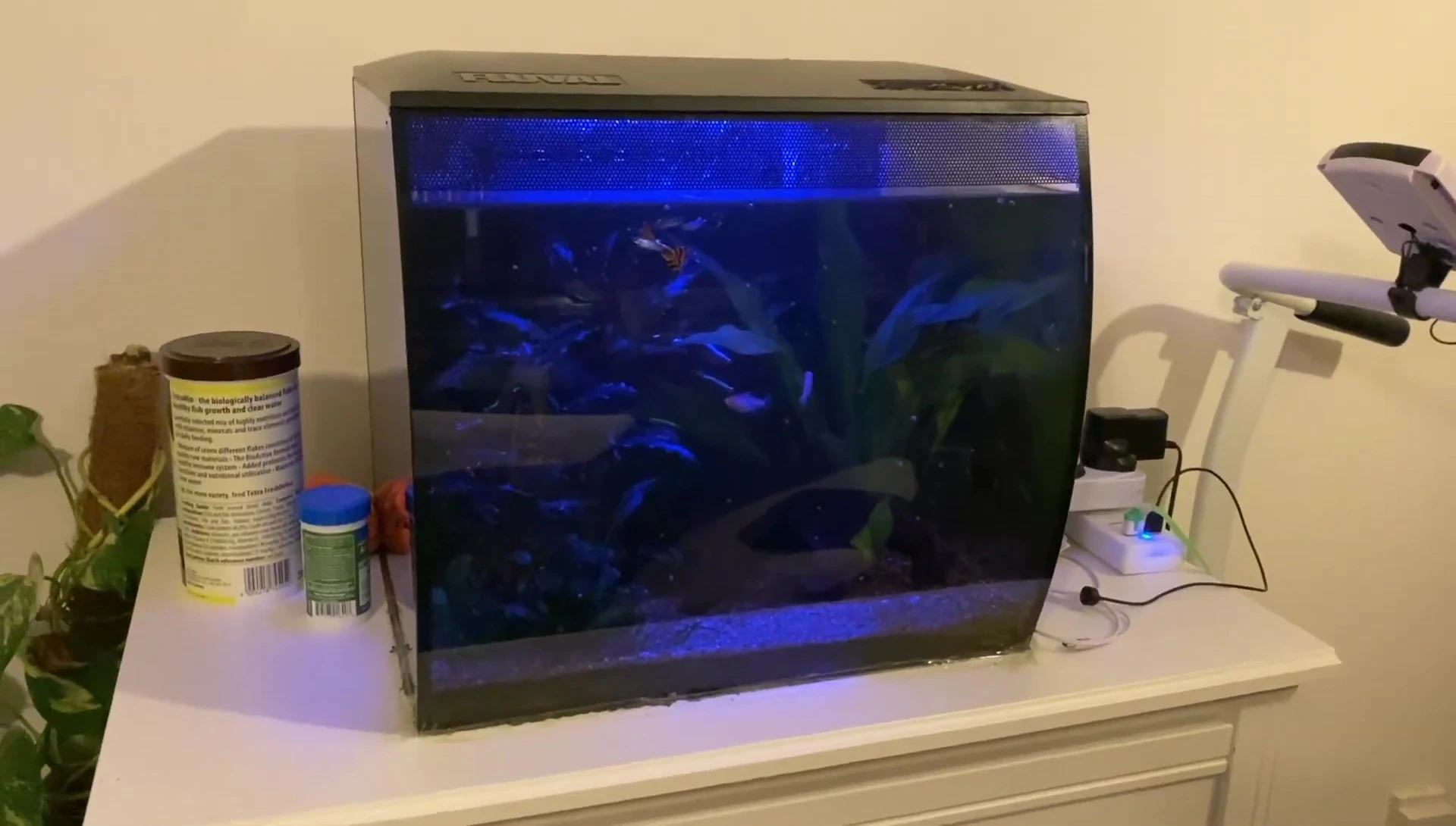 Fluval Flex Light Replacement: A Quick & Easy Guide