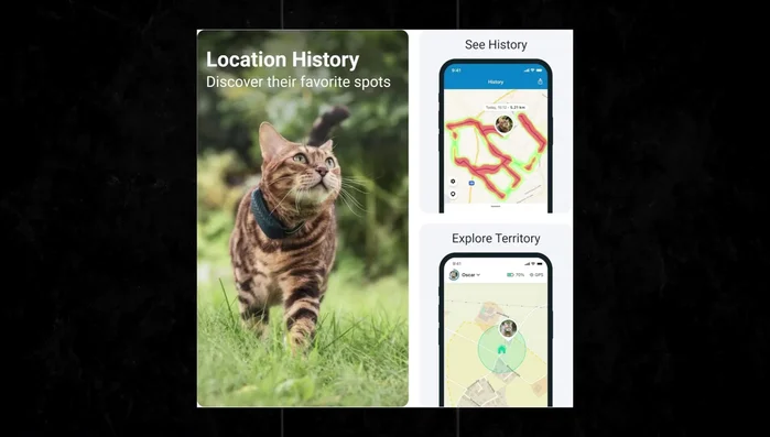 Top 7 Best Cat Trackers in 2025: Ultimate Guide & Comparison