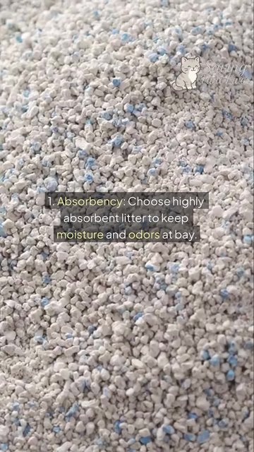 Best Cat Litters for Odor Control: A Buyer's Guide